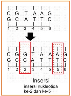 MUTASI TEORI - Biology Page
