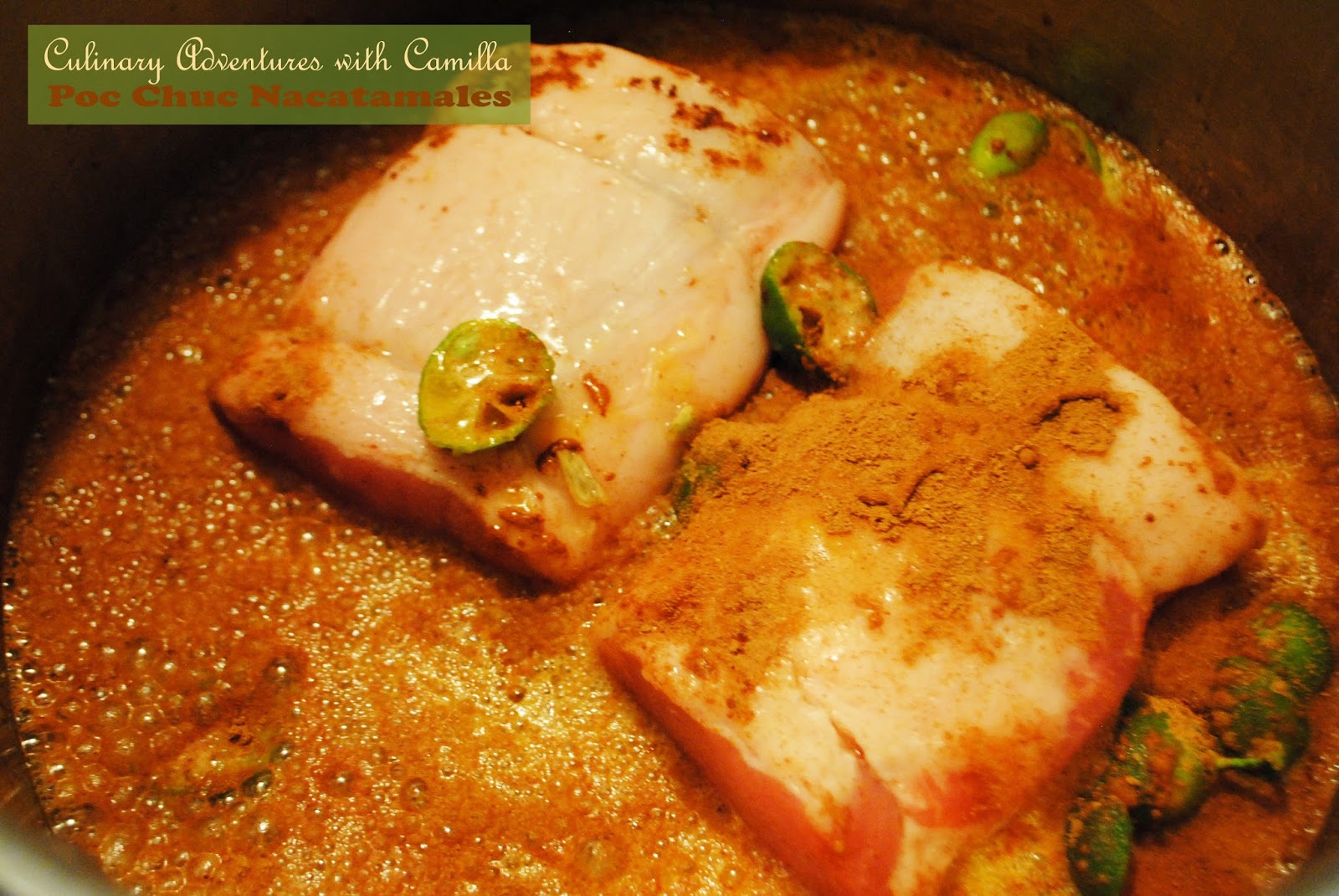 Poc Chuc Nacatamales