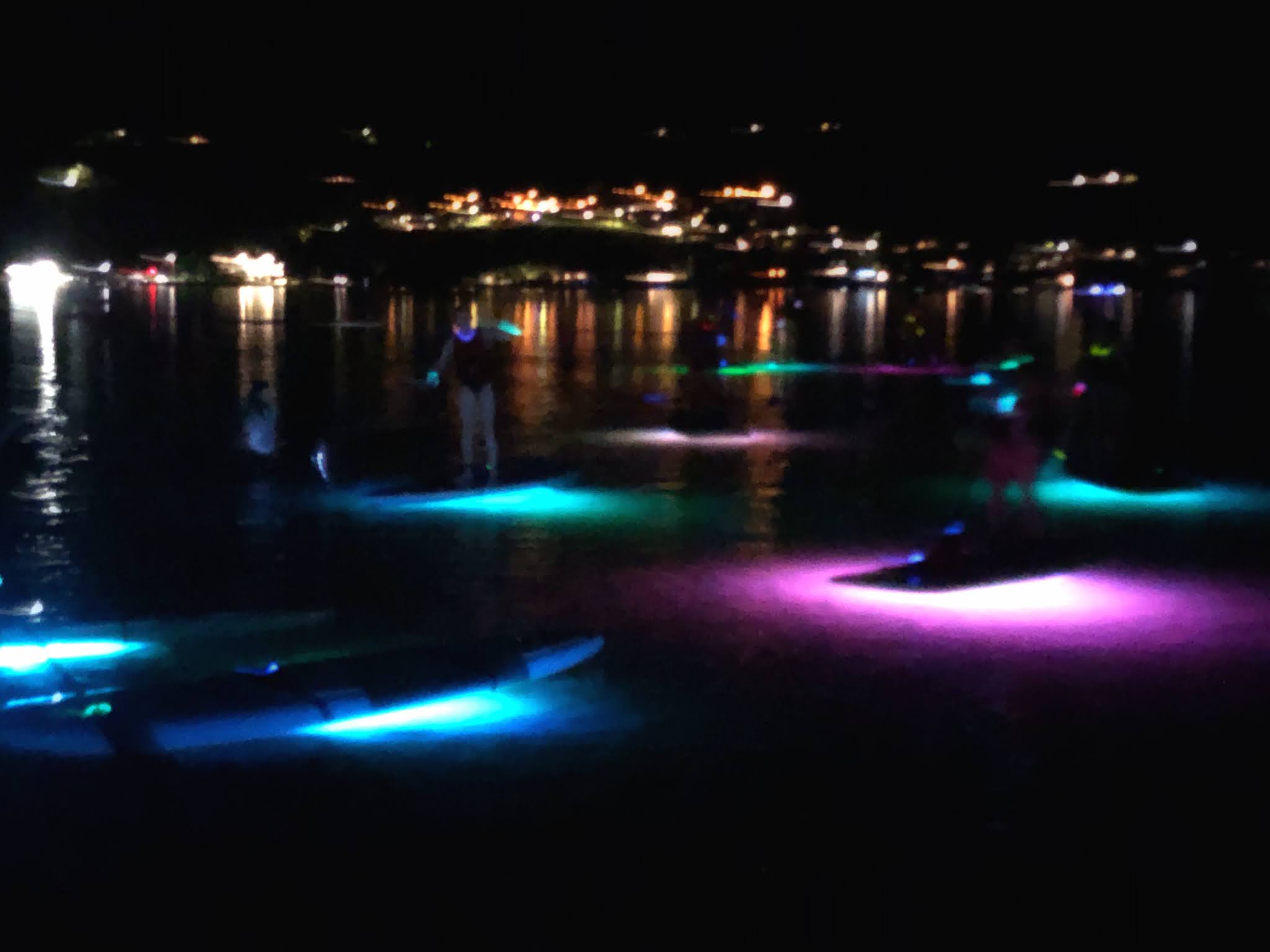 Emo & Cilantro Lime Chicken with Mango Avocado Salsa – Honeybears ...