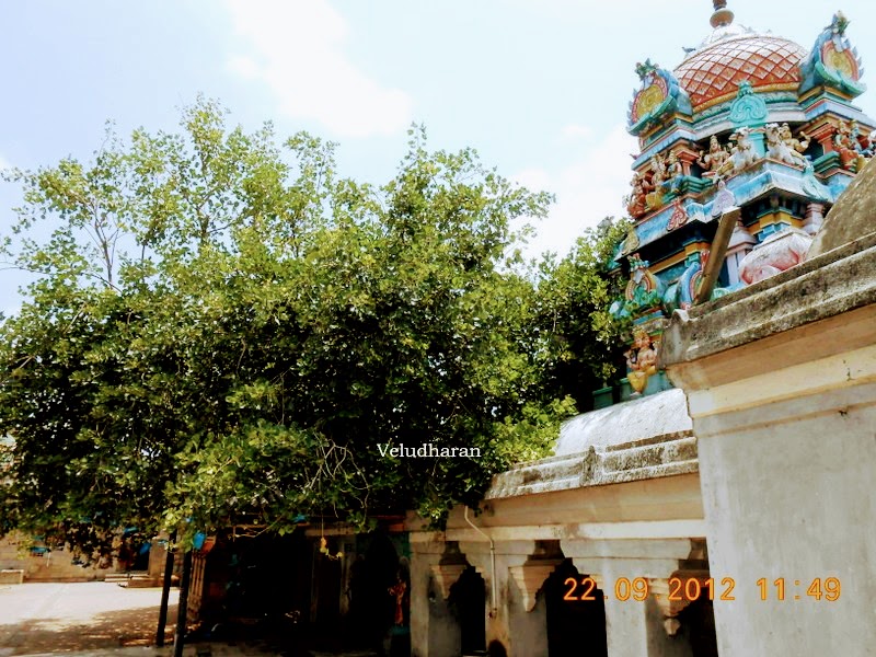 A Wandering Heritager: Sri Agniswarar Temple / Sukran Temple / Sri ...