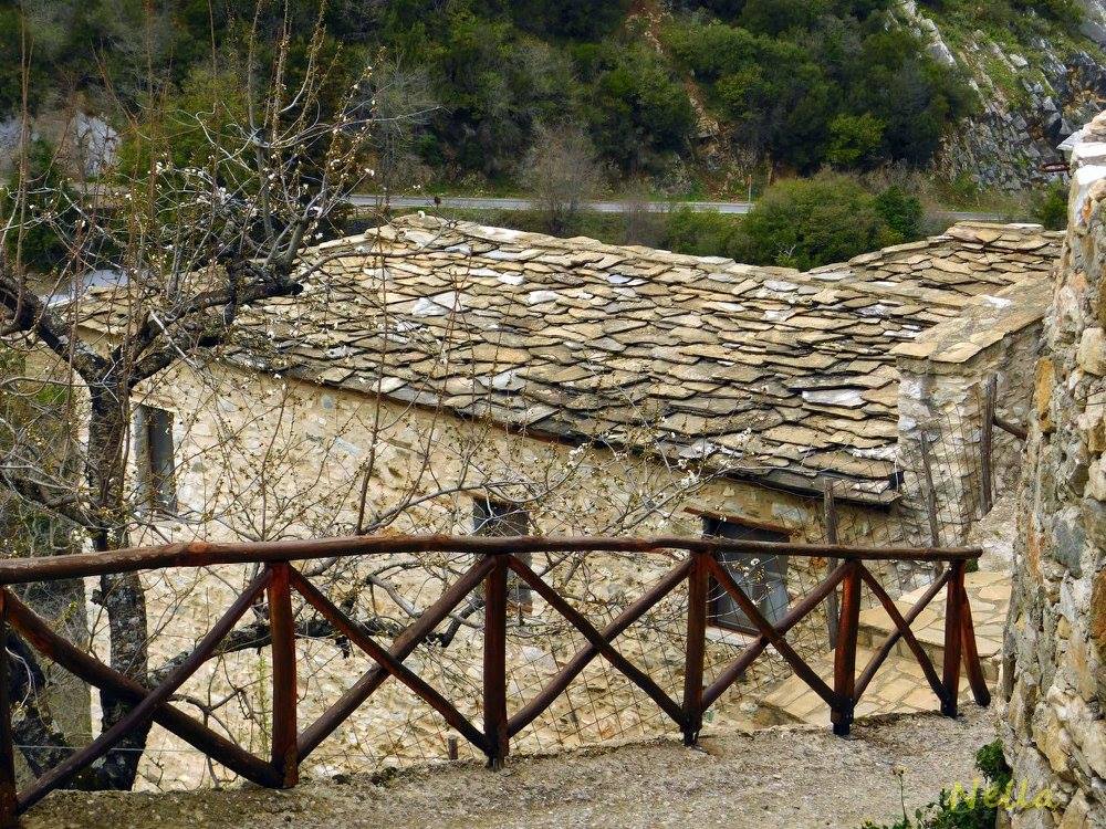 Homo Universalis: ΠΛΑΤΑΝΟΣ - ΚΑΣΤΑΝΙΤΣΑ , ΦΩΤΟΓΡΑΦΙΚΟ ΑΛΜΠΟΥΜ ΤΗΣ ...