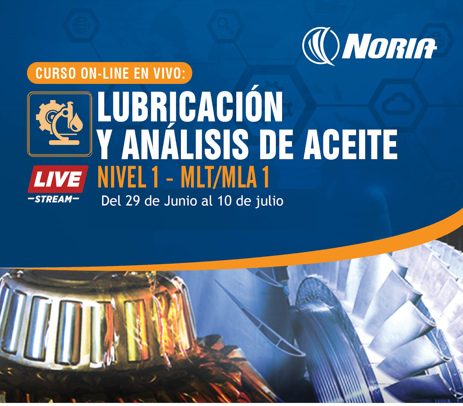 Formared: Capacitación y asesoría Educativa: Curso ON LINE En Vivo ...