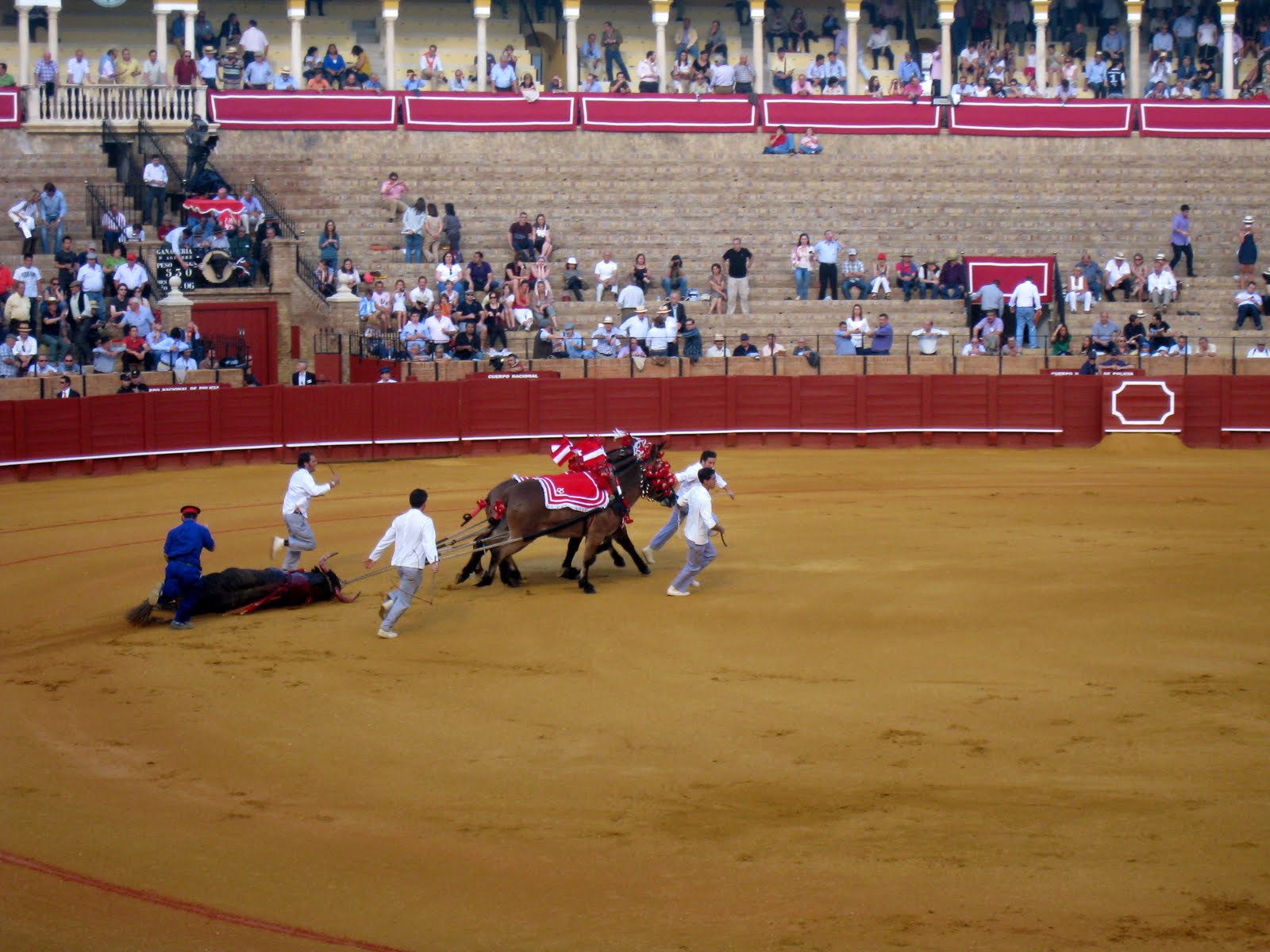 Sabores y Senderos de Sevilla: Bullfight