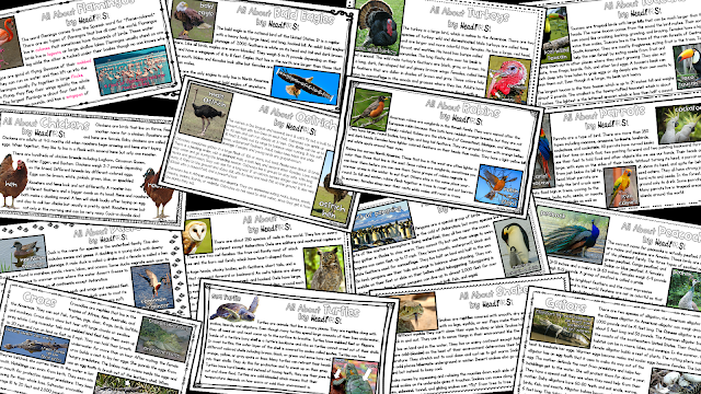 Headfirst - a blog for primary teachers by a first grade teacher ...