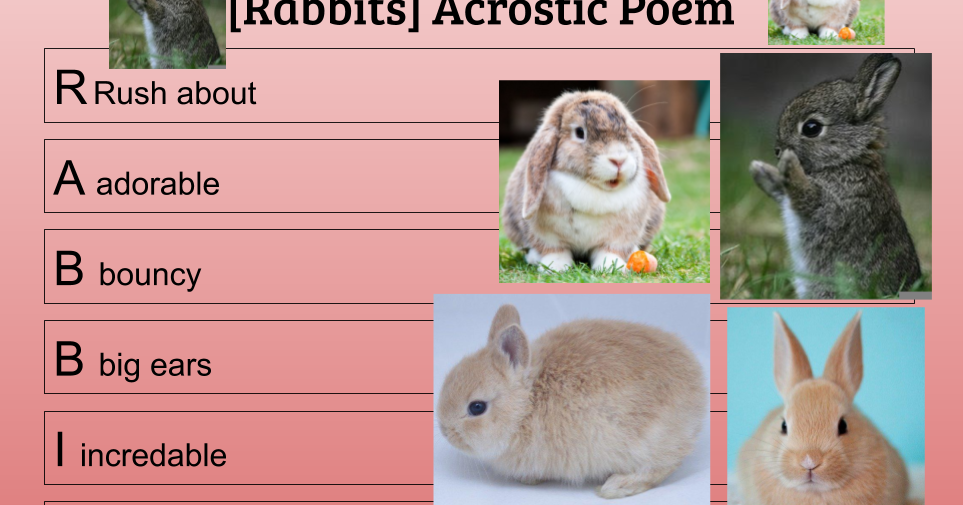 Akeilah @South Hornby Primary: Rabbits template Acrostic Poem