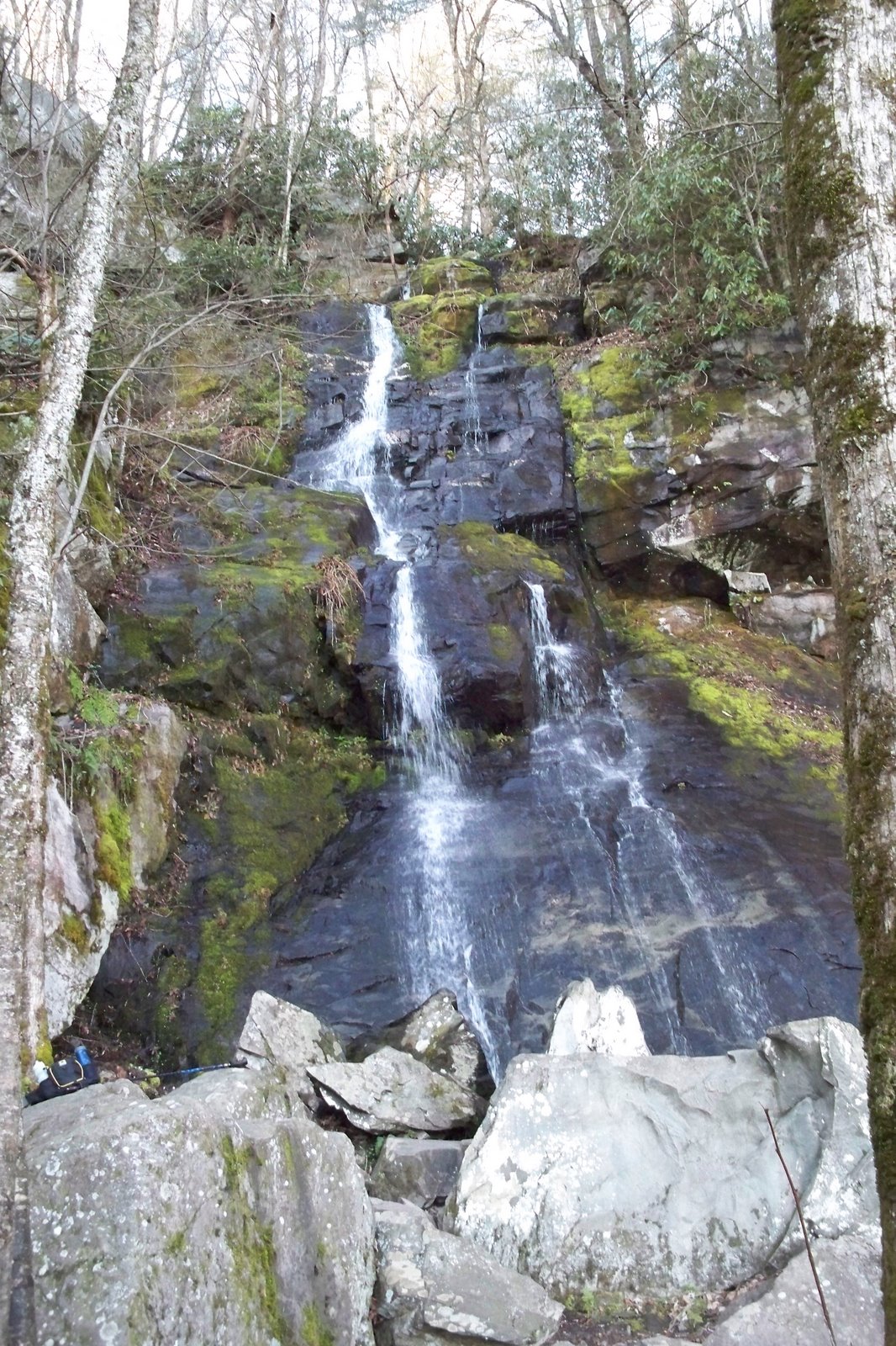 The Continuing Adventures of Eric, Noelle and Sierra: Great Smoky ...