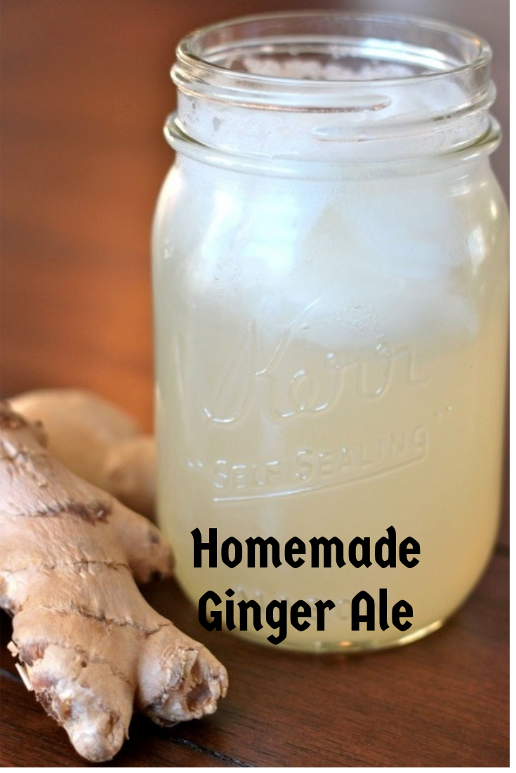 HOMEMADE GINGER ALE - Best Recipest