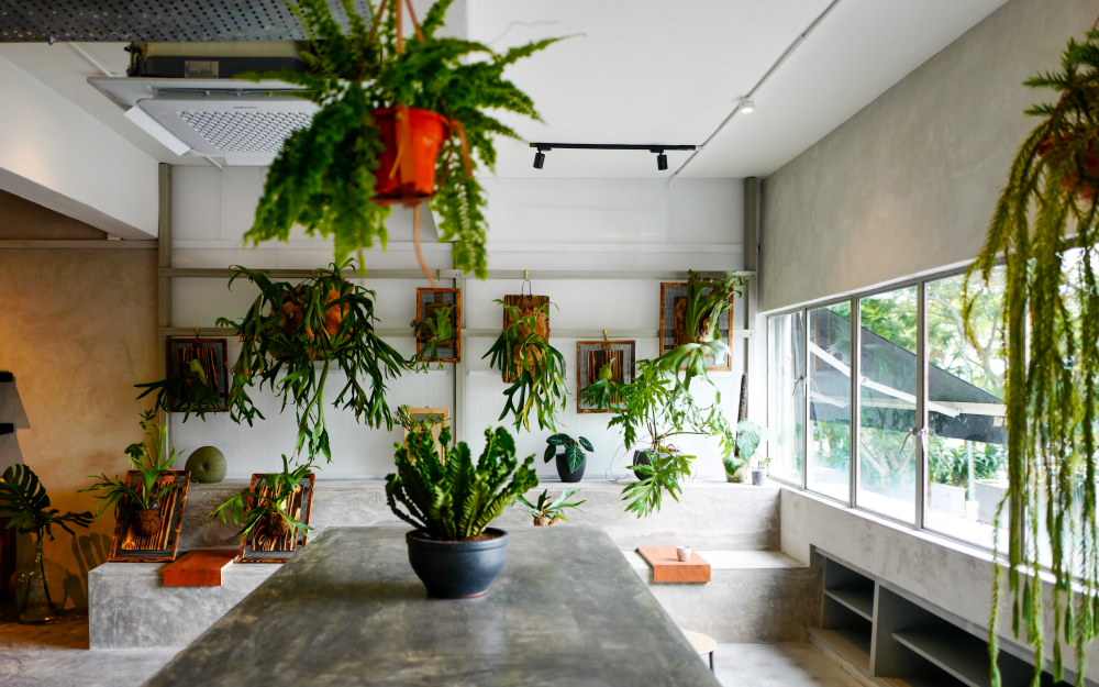 Eat Drink KL | Neutrals, Taman Tun Dr Ismail