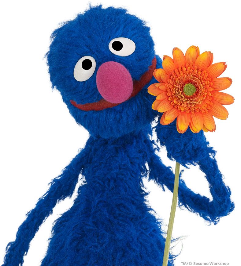 11. If a judge ruled that Grover had to be your personal assistant for ...