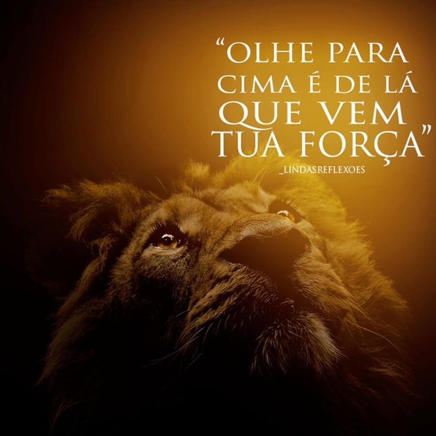 "Olhe para cima é de lá que vem tua força." - Simplesmente Sereníssima