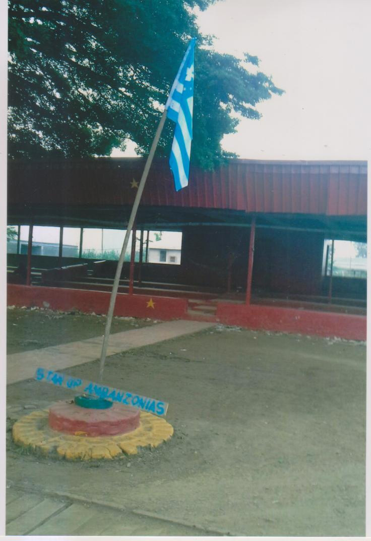 The Median Newspaper: SCNC activists hoist Southern Cameroons flag in Kumba