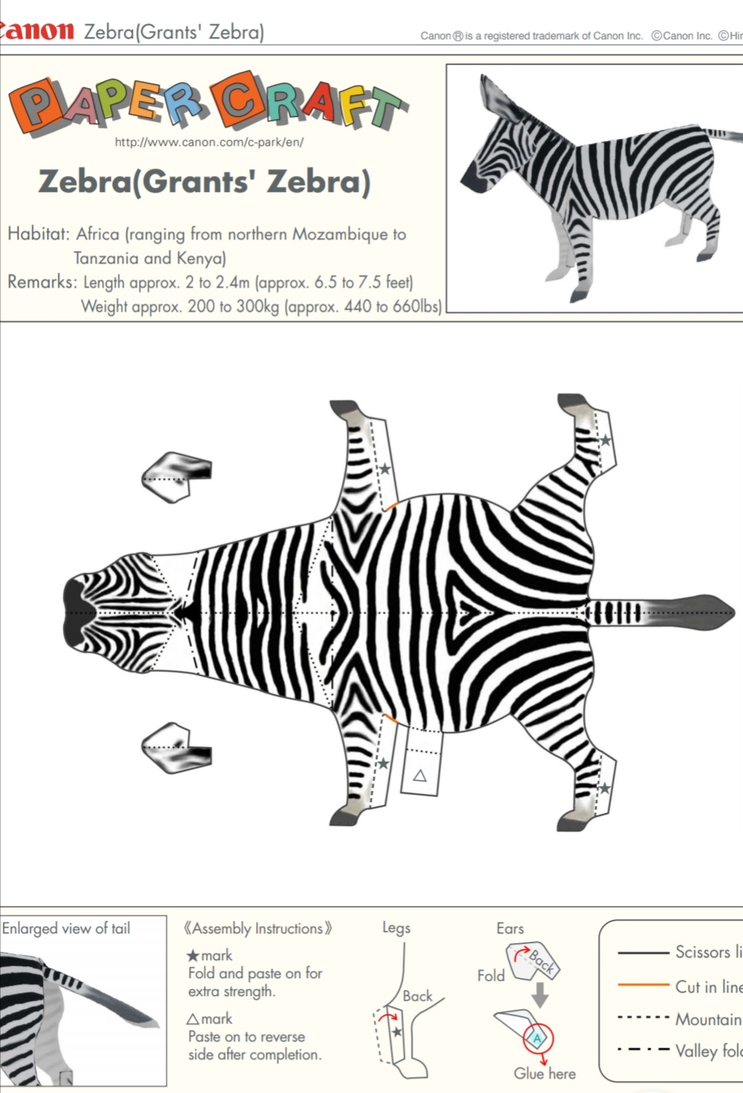 NICOINFANTIL: CEBRA 3D EN PAPEL PARA IMPRIMIR Y RECORTAR.