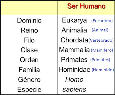 PRINCIPALES FILOS ANIMALES