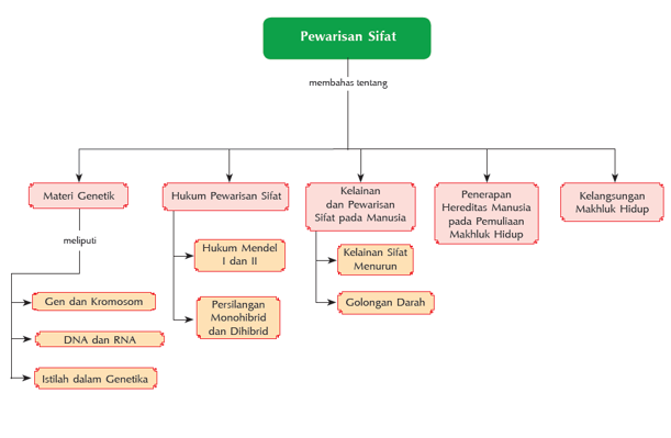 Rangkuman Materi IPA SMP/MTs Kelas 9 Kurikulum 2013 Tentang Pewaris Sifat - blog | pabaiq