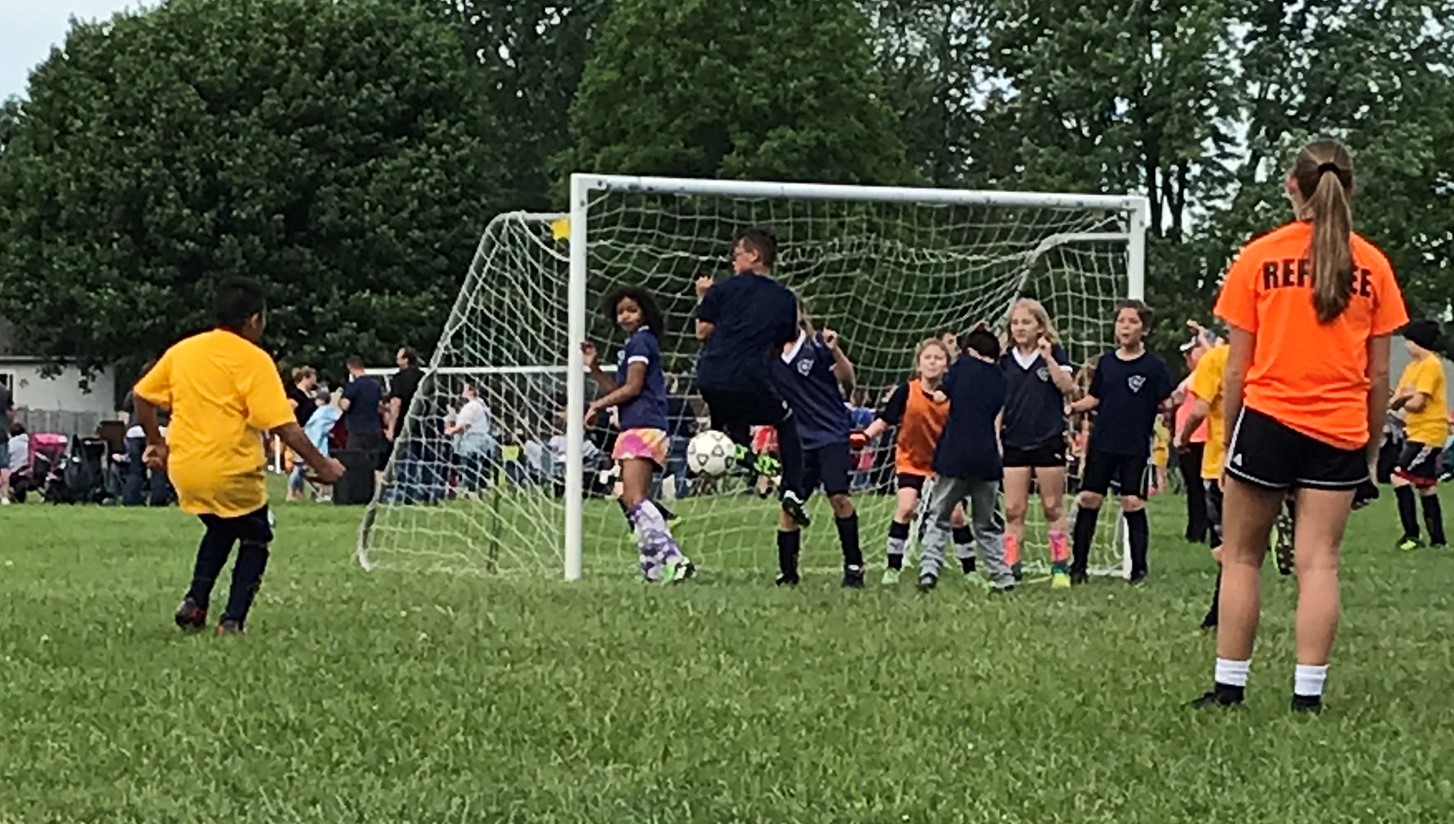 Washington Local Soccer Club: Welcome