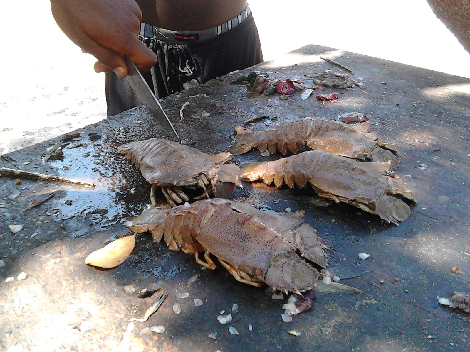 ZANZIBAR MARIDHAWA, ASILI YA MWAFRIKA : KAMBA KOCHI (LOBSTER) NDANI YA ...
