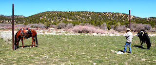 Dream Packer Trail Adventures: Deer Springs Ranch, Kanab, Utah