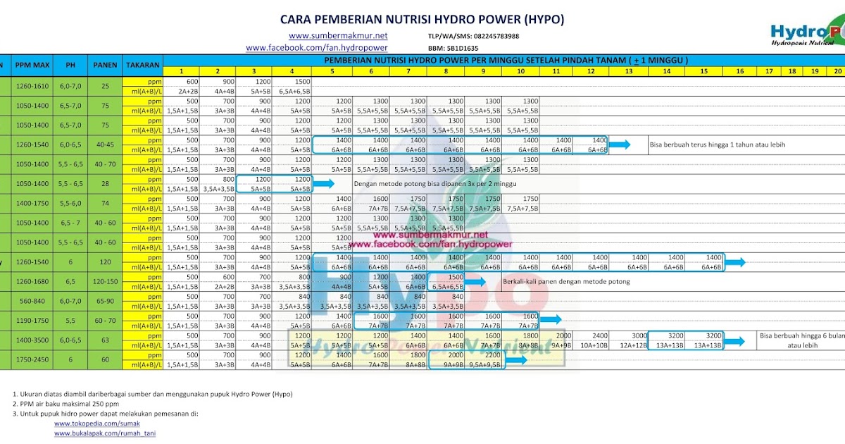 Aturan Pemberian Nutrisi Hidroponik kapan Diberikan Berapa Kali Dan aturan-pemberian-nutrisi-hidroponik-kapan-diberikan-berapa-kali-dan