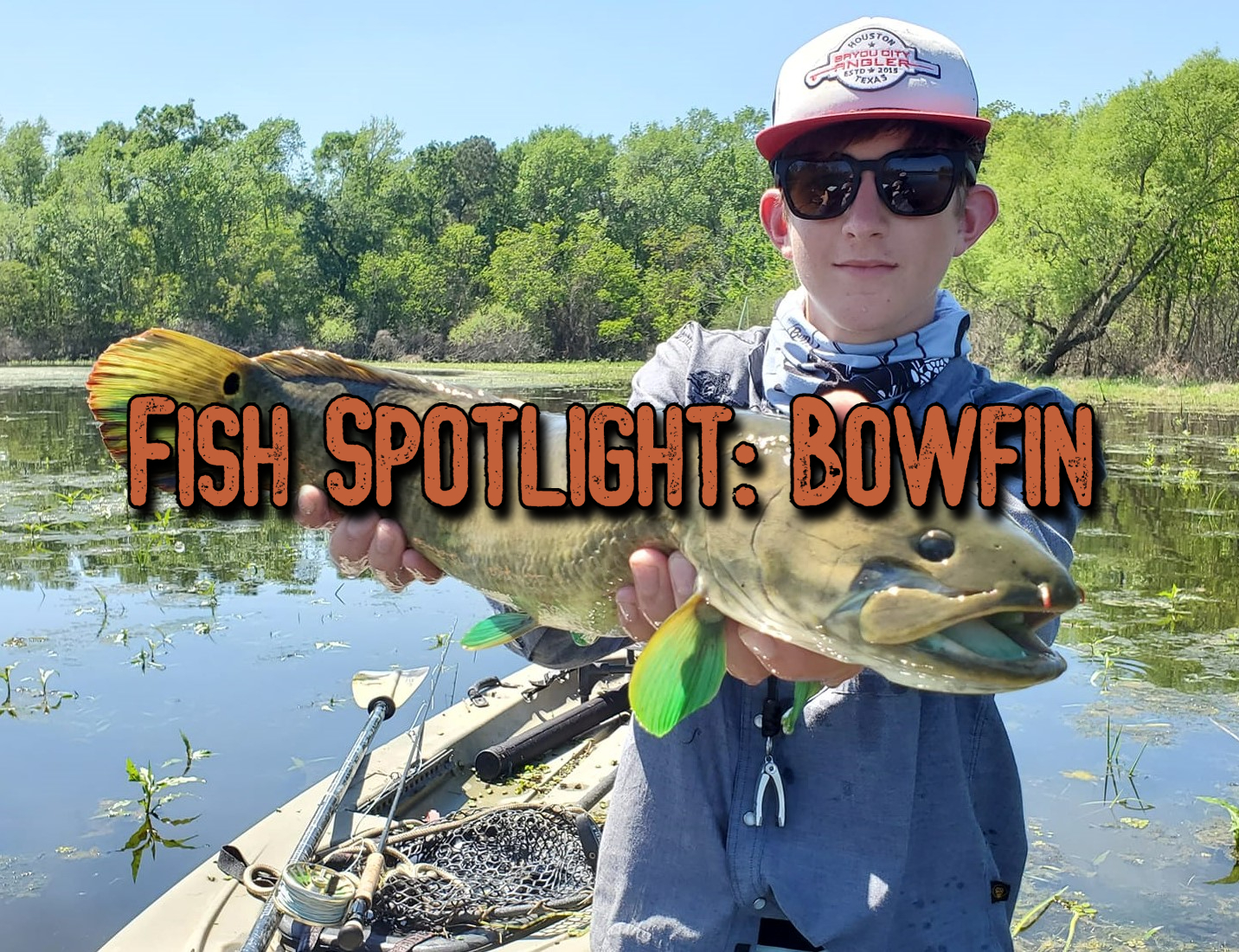Fish Spotlight: Bowfin