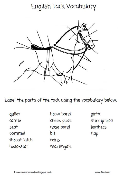 Iman's Home-School: Horses Notebook & Activity Pack