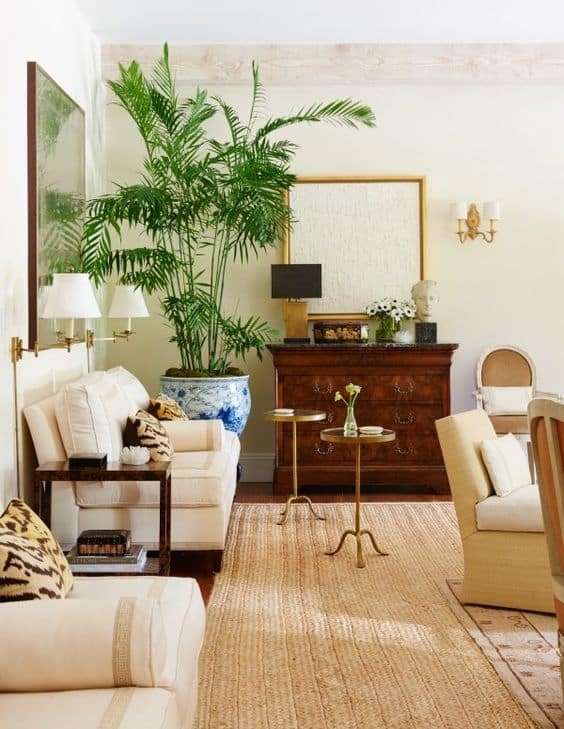 50+ Beautiful Indoor Plants To Decorate Your Home Room | ARA HOME