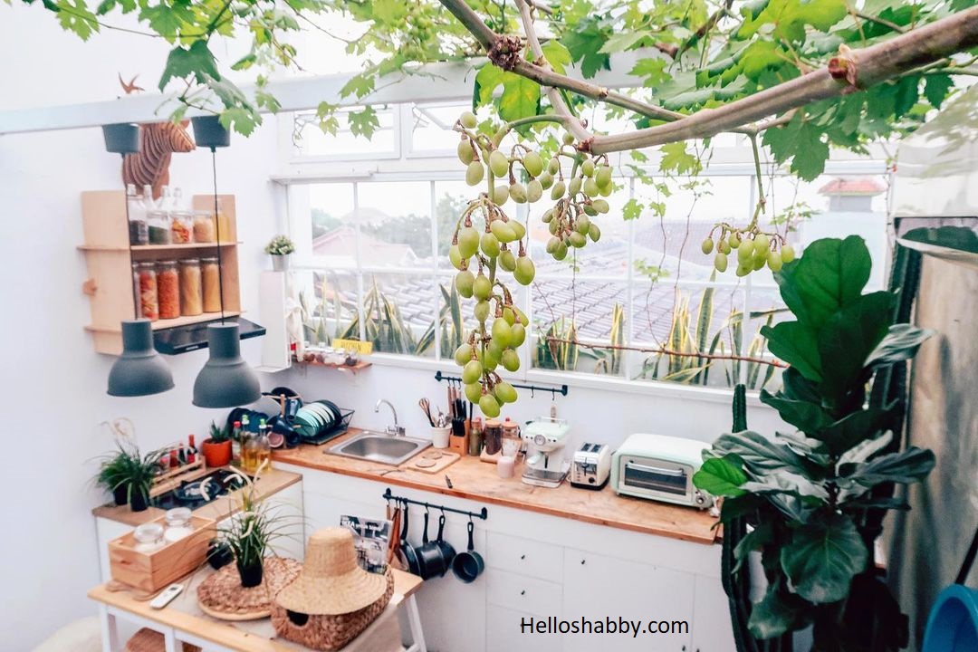 6 Kitchen designs with plant ideas ~ HelloShabby.com : interior and ...