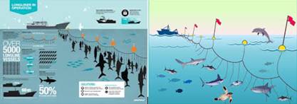 Alat Tangkap Ikan & Cara Pengoperasiannya