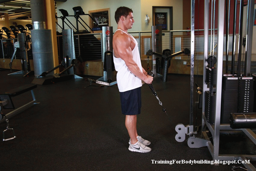 Best Biceps Workout ~ training for bodybuilding