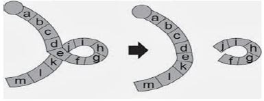 Materi Penyebab Mutasi Mapel Biologi kelas 12 SMA/MA - Bospedia