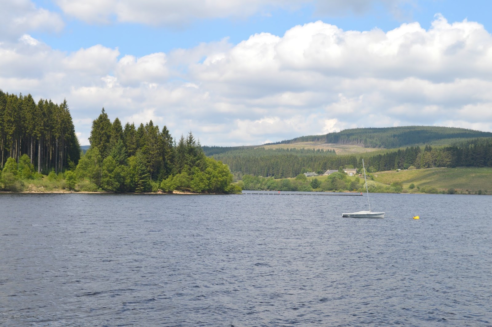 A First Time Visitors Guide to Kielder Water and Forest Park | New Girl ...
