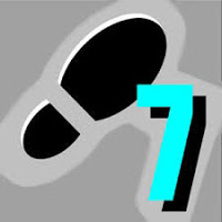 STEP 7 PROFESIONAL 2017 SR4 V5.6FOR W10