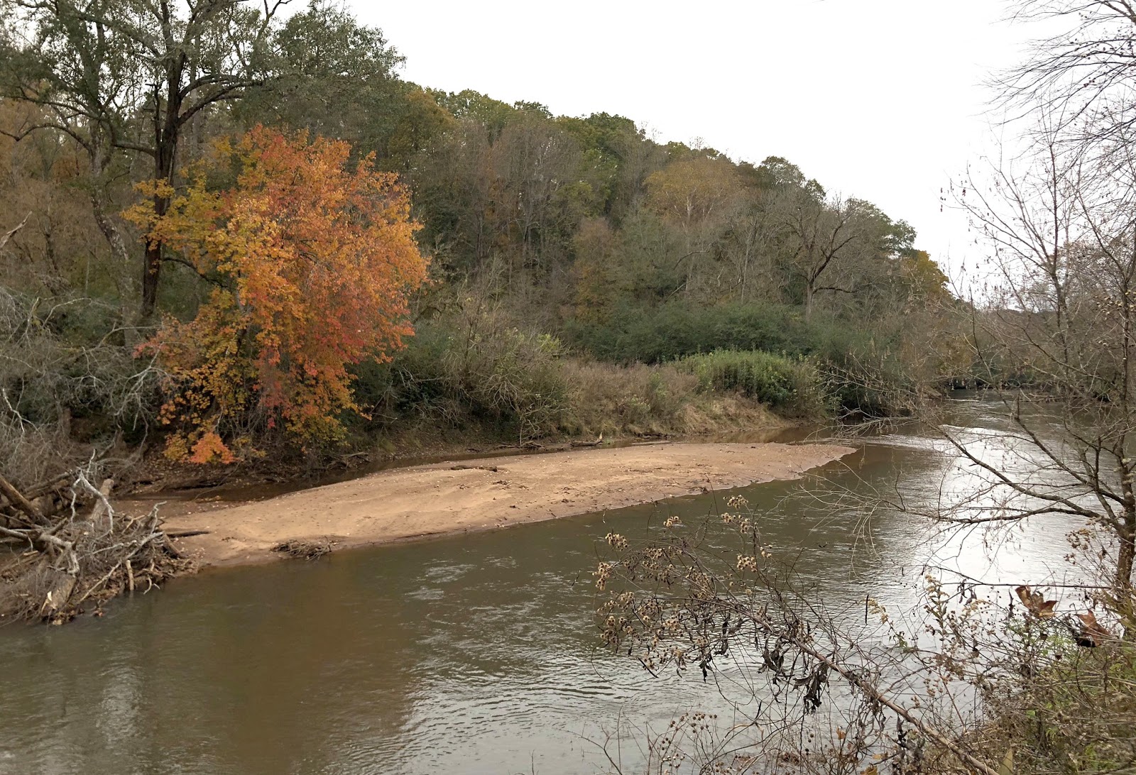 Nature Ramblers: Ramble Report November 14 2019