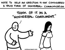 communication studies: Non-Verbal Communication