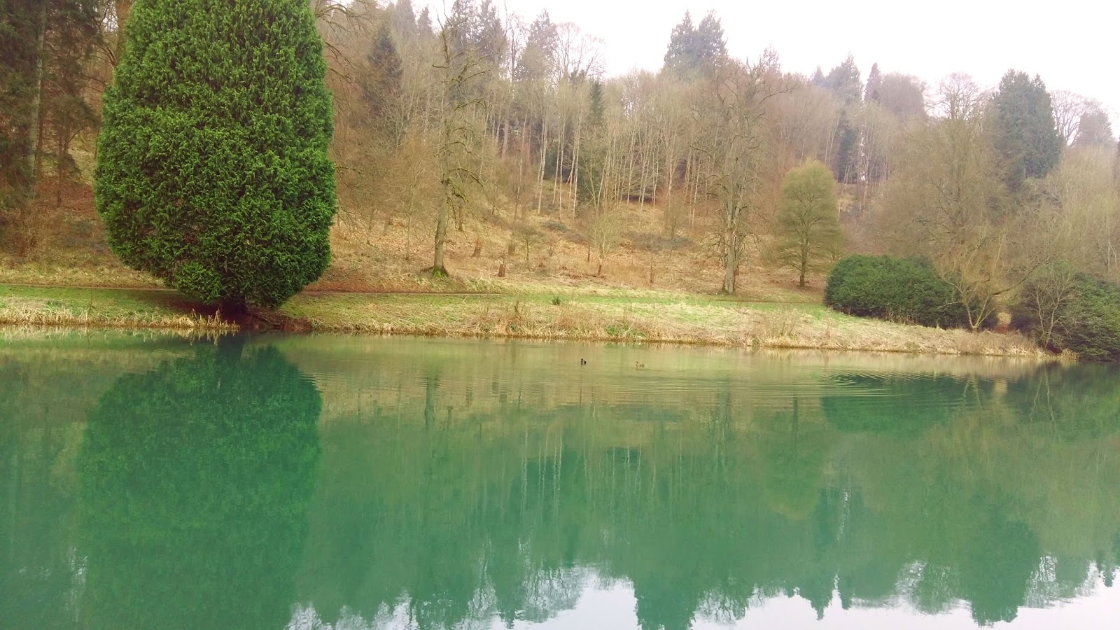 Cotswolds Travel: A Foggy Spring Round Miserden and Caudle Green