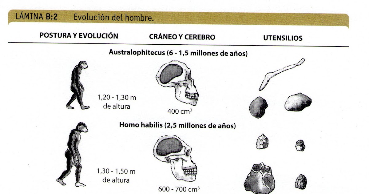 Historia 21: El desarrollo humano