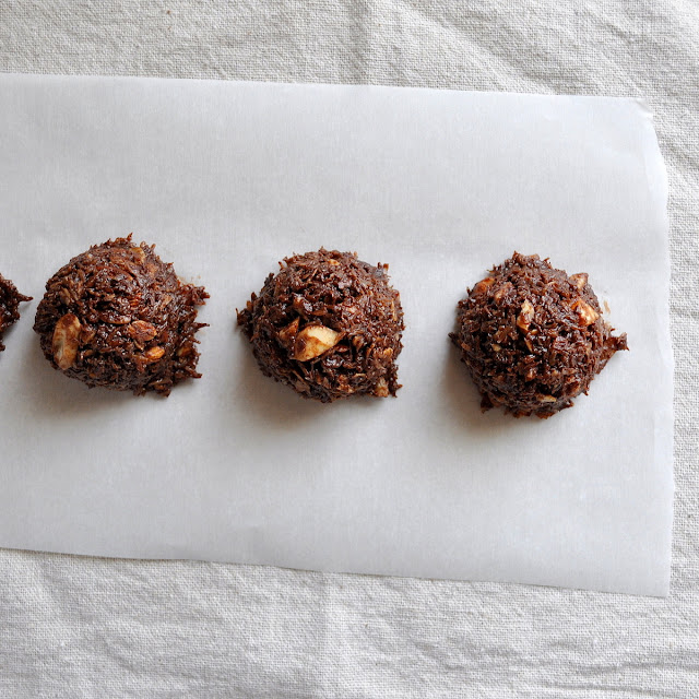 BREANNA'S RECIPE BOX: Cocoa Coconut Bites