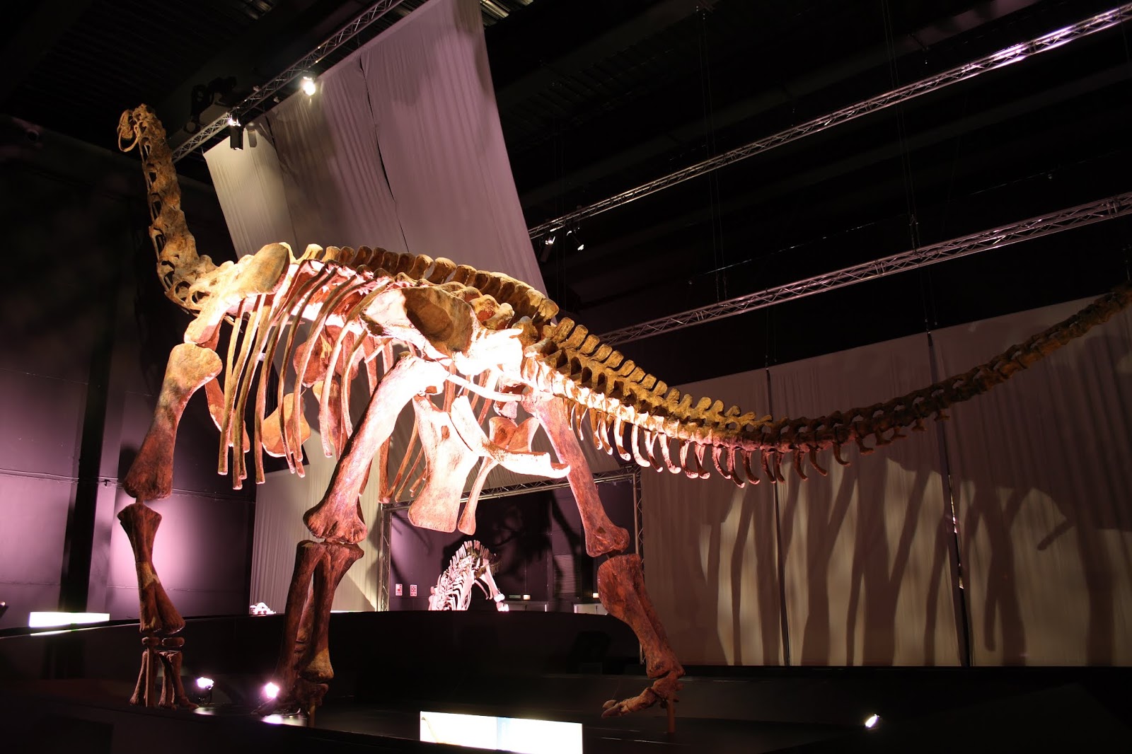 Dinópolis: el parque temático y científico que Teruel “creó para los ...