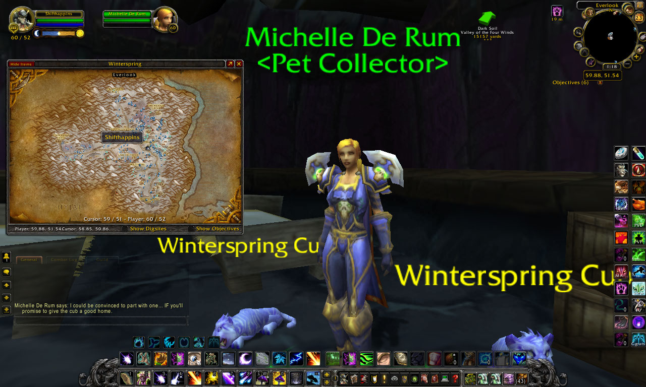 WOW Companion Collector: Winterspring Cub (uncommon lvl 1)
