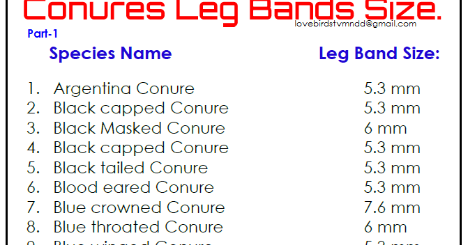 Conures Leg Bands Size.