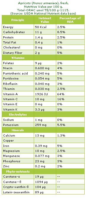 Apricots Health Benefits And Nutrition Fact | signstarters