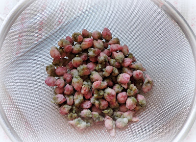 Crystallised Rose Buds | The English Kitchen