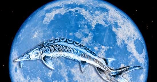 JA esoterics: August Full Sturgeon Moon Ceremony