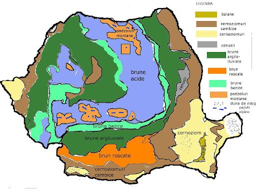 Geographica Clasa Viii VegetaȚia Fauna Și Solurile RomÂniei
