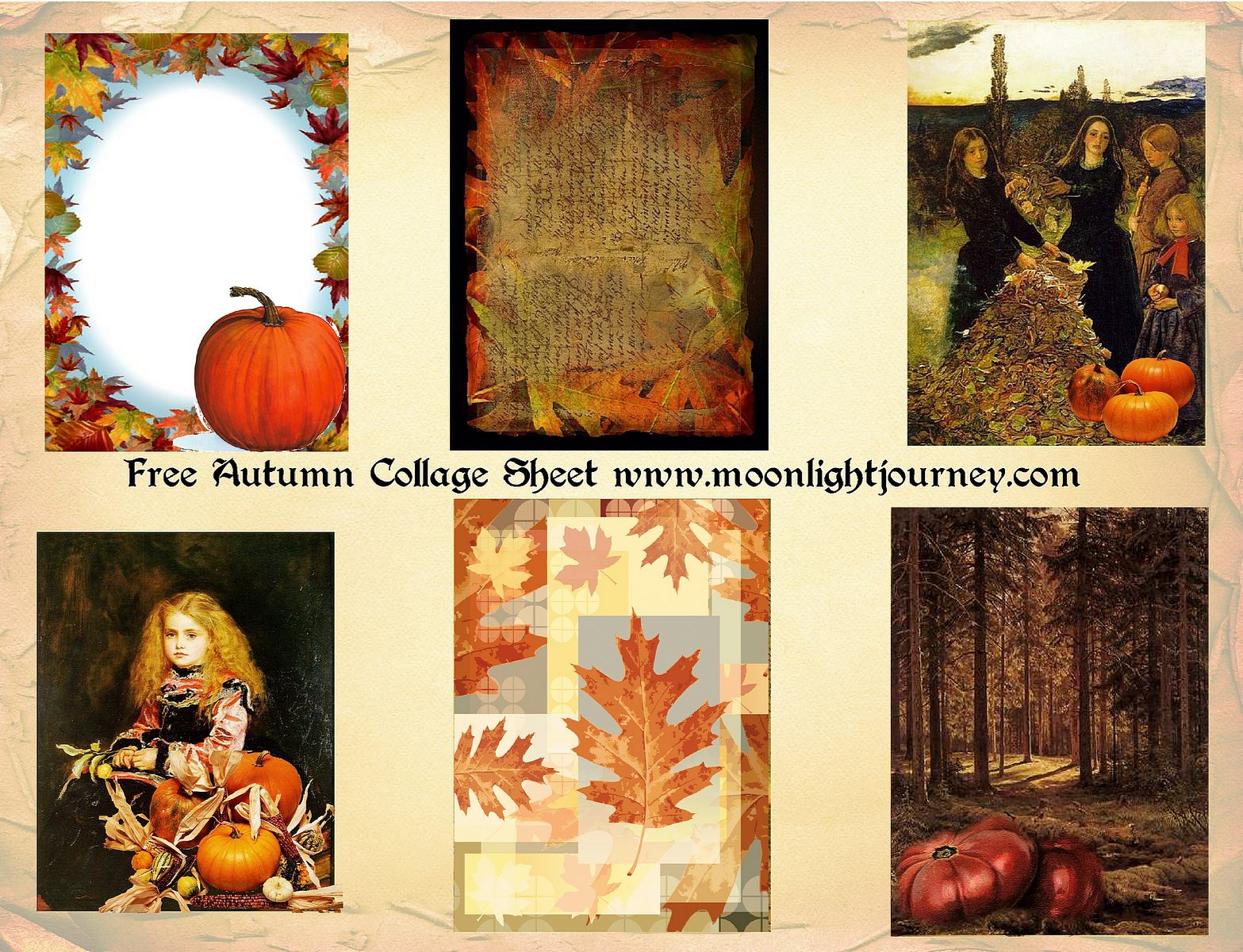 MoonlightJourney: Free Collage Sheet For Fall!