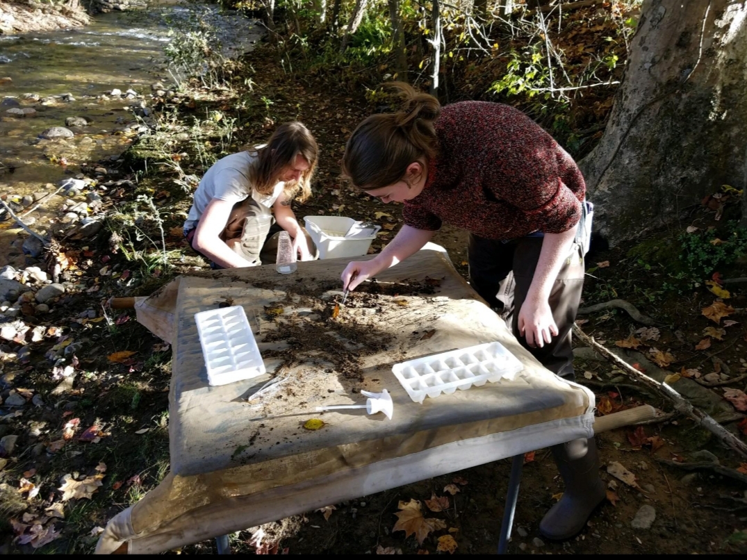 Teachable Moments: Jessie Kerr, Educator at Foothills Equestrian Nature ...