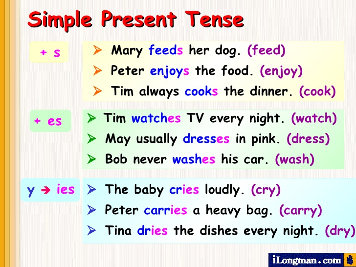 Rules Simple Present rules-simple-present