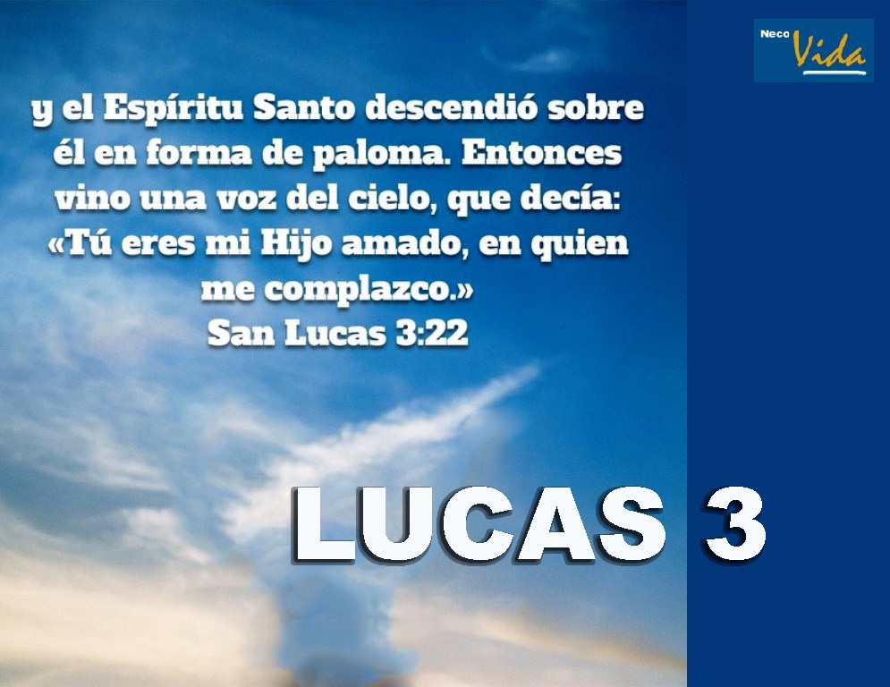 Neco Vida: Leyendo... Lucas capítulo 3