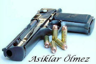 SİLAH RESİMLERİ-Manzaralar