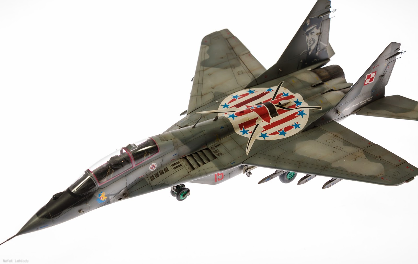 MODEL SECTOR: MIG-29 UB