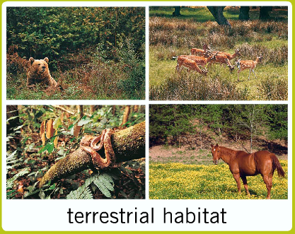 Mi primer año en Red XXI: noviembre 2012